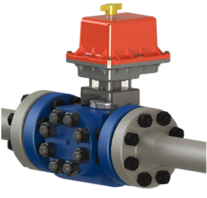 Lancaster Plug and Cage Choke Assembly - Valveworks USA